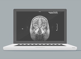 Medical Image Processing Sdk Technology Leadtools